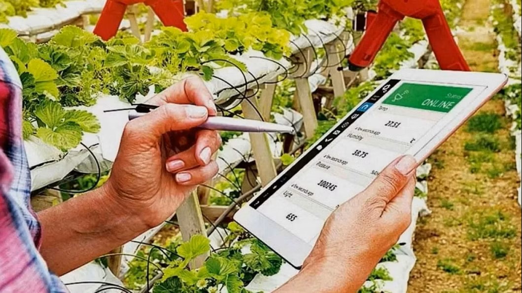 How agritech solutions can drive smart development - HSATE (Hub for ...